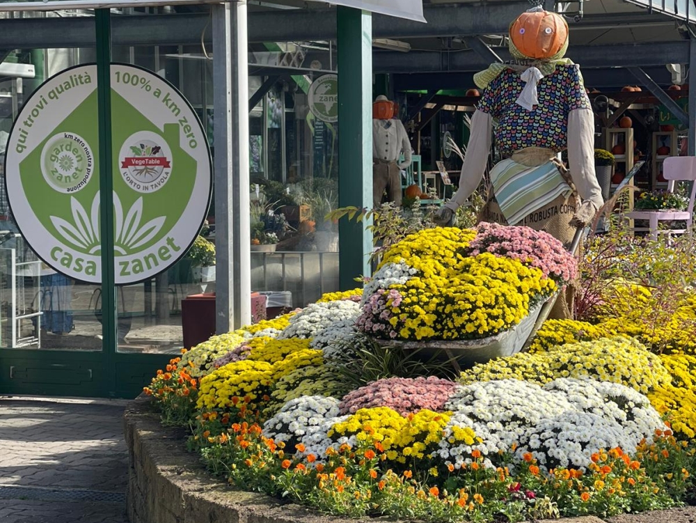 Garden Zanet e il giardino sostenibile con piante autoctone a km 0